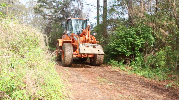 Long-Awaited Firefly Trail Takes First Steps in Athens — Grady Newsource