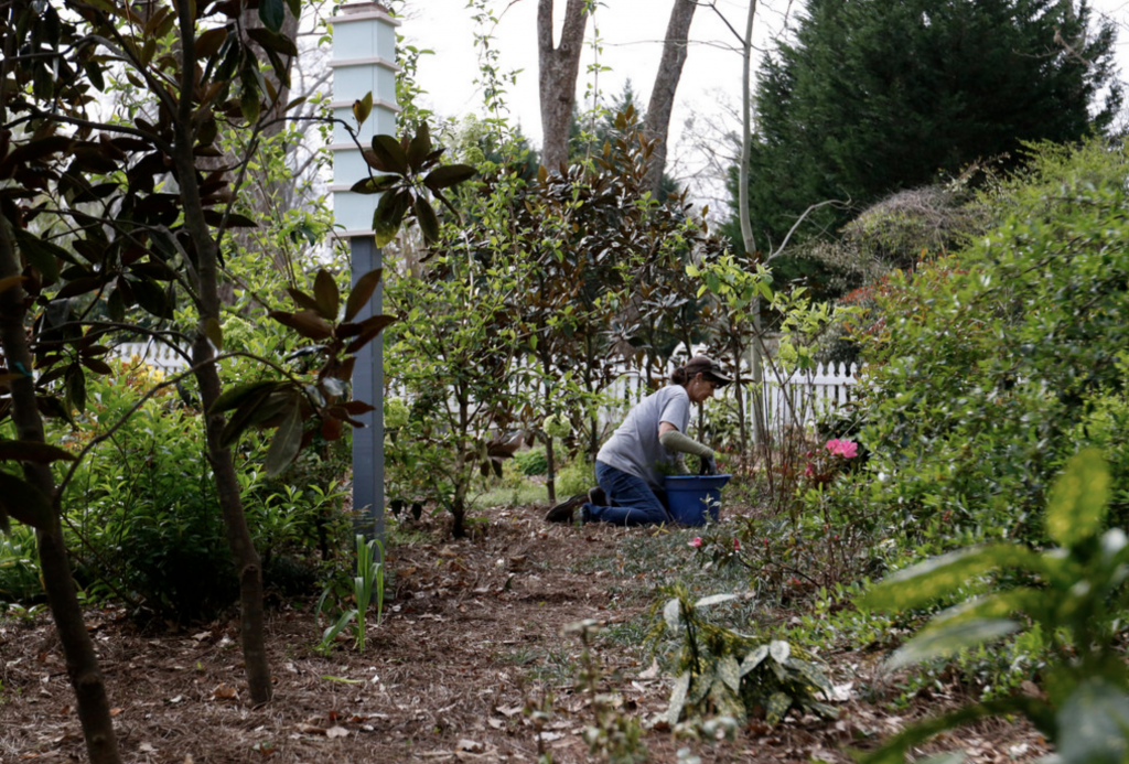 Highgate Estate and Garden Reopens After Renovations, Pushback — Grady ...