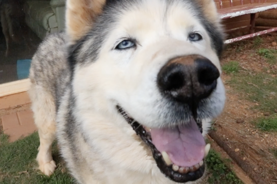 ATF Shooting Update — Grady Newsource