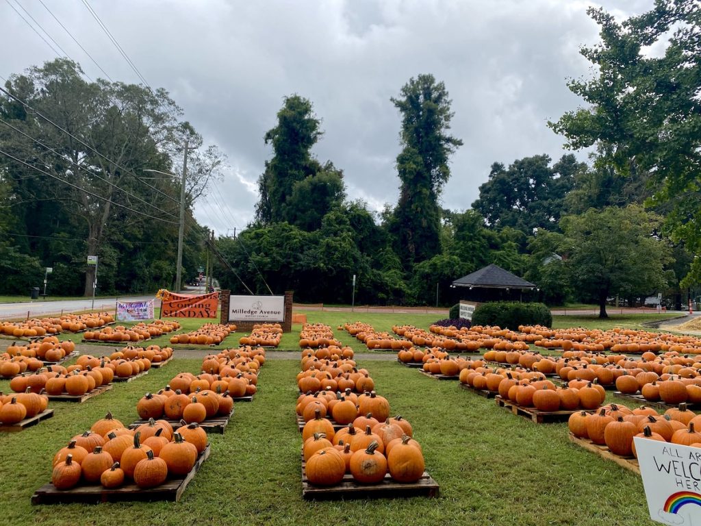Milledge Avenue Church's Pumpkin Sale Raises Funds, Promotes ...