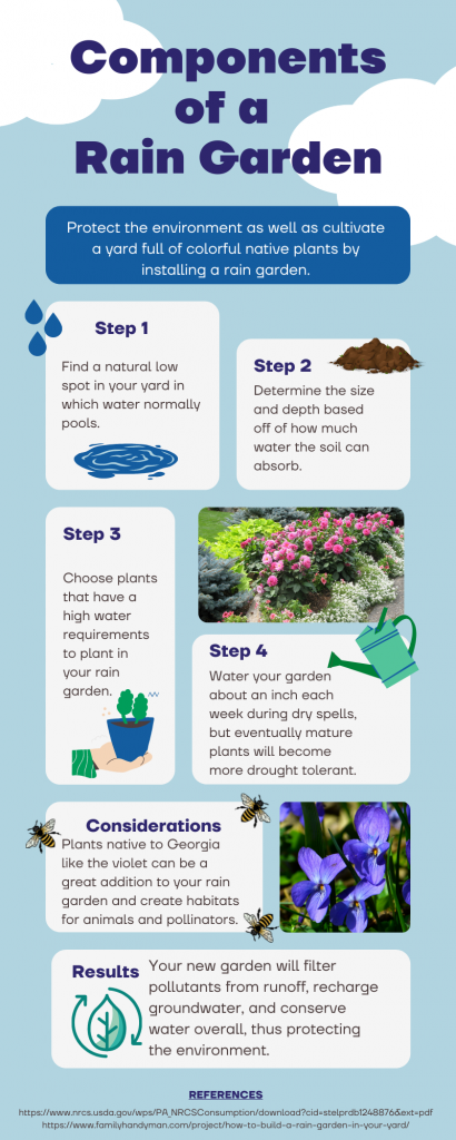 Rain Gardens: How You Can Conserve Water in Your Own Backyard — Grady ...