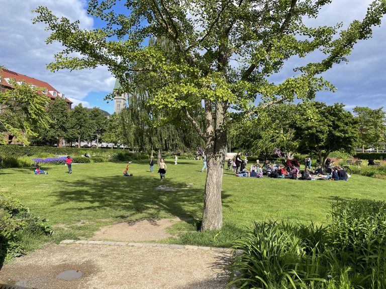 Enghaveparken: Where Sustainability Meets Livability in Copenhagen — Grady Newsource