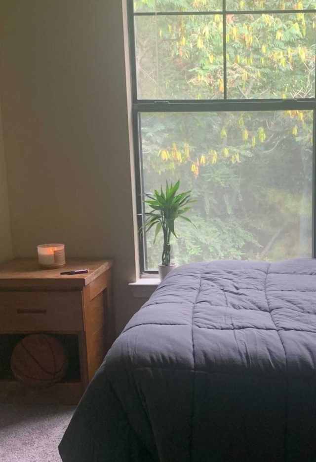 Here’s How UGA Students Decorate for Comfort and Relaxation — Grady ...