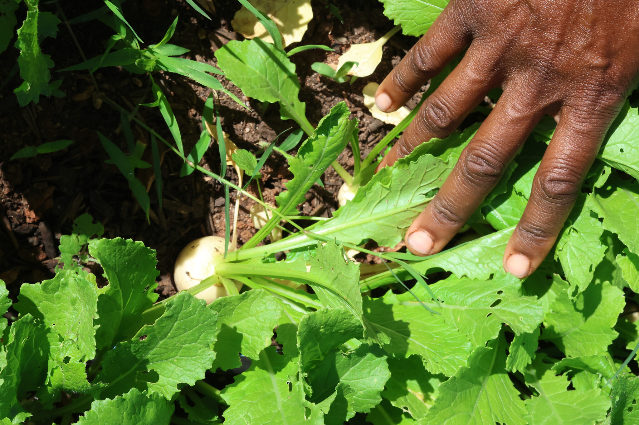 Home — Grady Newsource