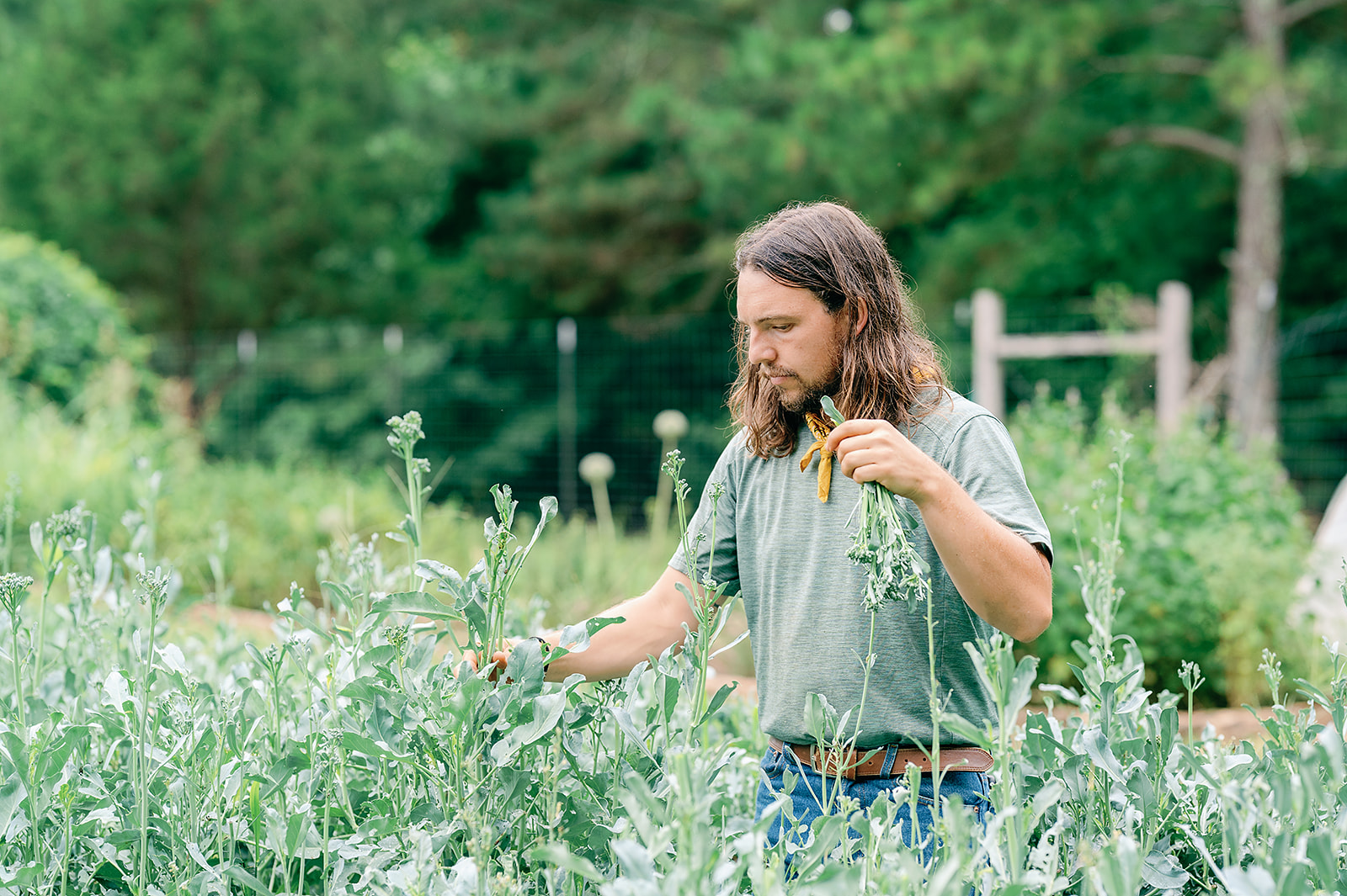 Sourcing Food Locally: How Local Restaurants Get From Farm to Table ...