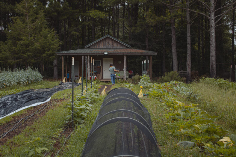 field — Grady Newsource