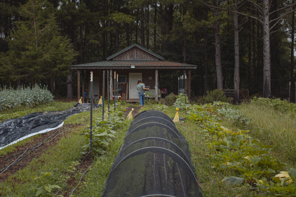 field — Grady Newsource