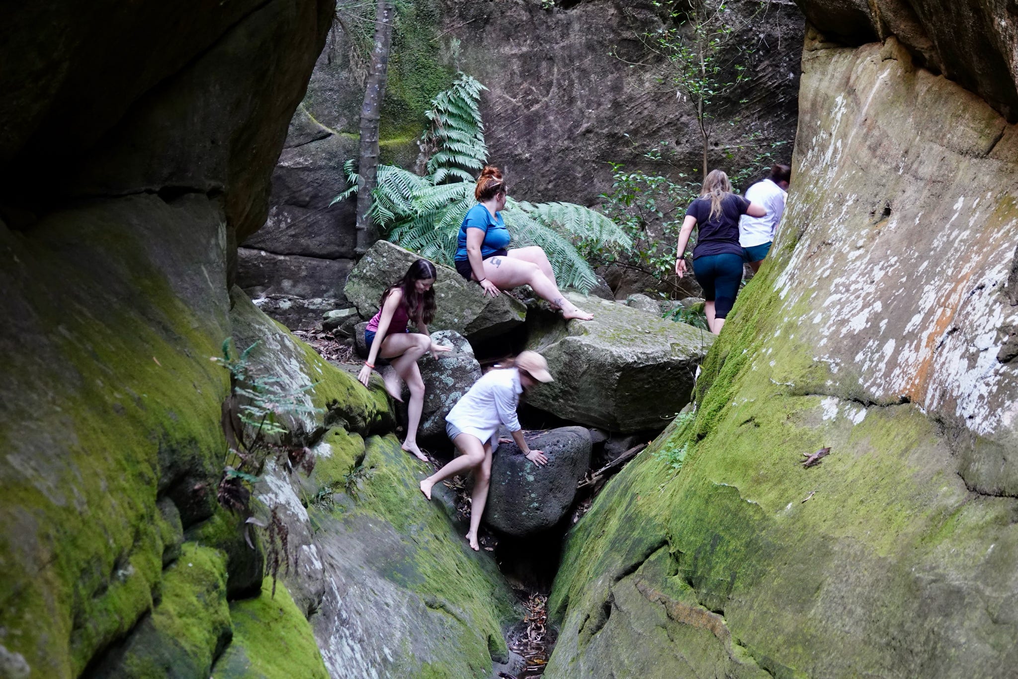 Into the Wild: UGA Students Head Outdoors for Summer Internships ...