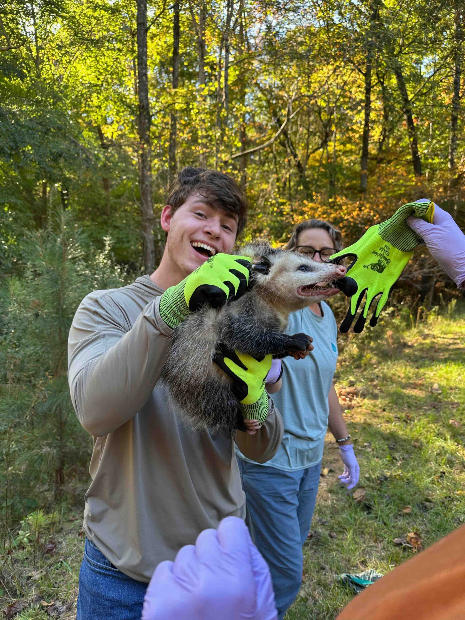 Into the Wild: UGA Students Head Outdoors for Summer Internships ...